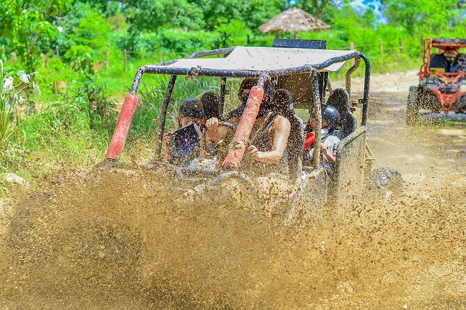 Punta Cana Horse and Buggy Adventure Tour - Who Is This Tour Best For?