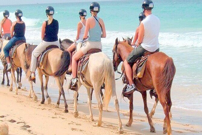 Punta Cana Horse Riding for Beaches in Field - The Value of This Experience