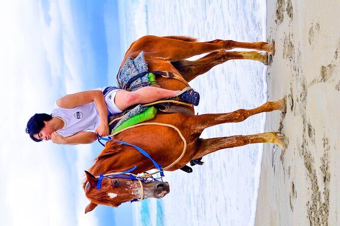 Punta Cana Horseback Ride and Beach Tour - FAQ