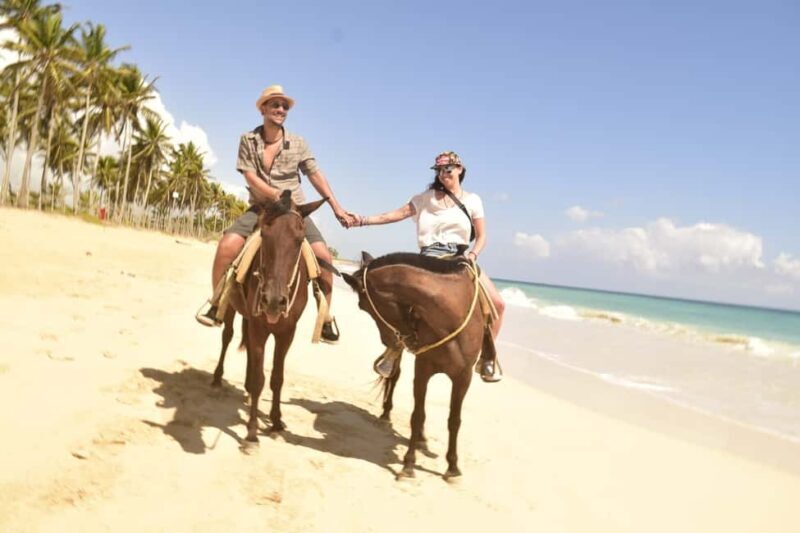 Punta Cana: Horseback Ride to Macao Beach - The Itinerary and What to Expect