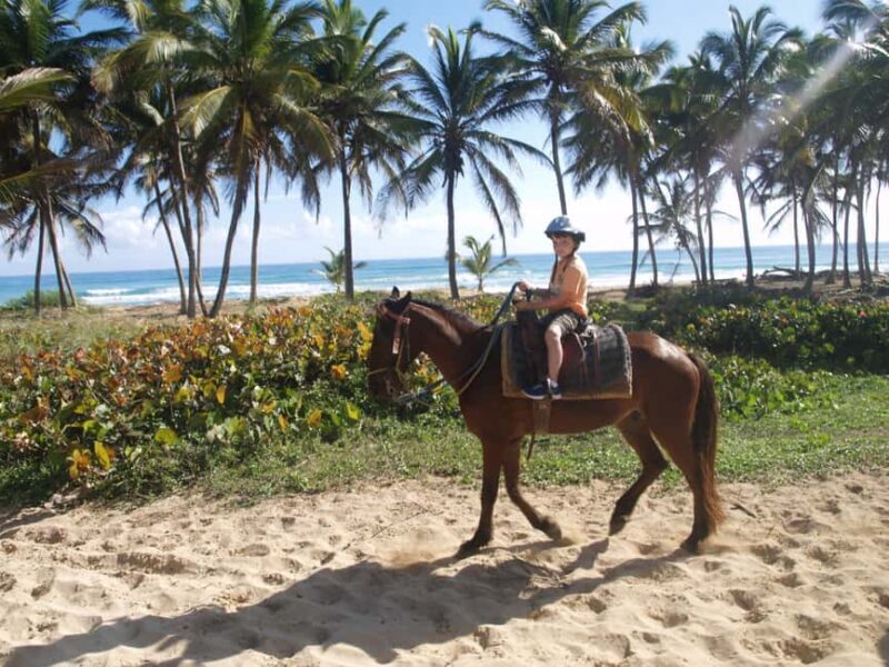 Punta Cana: Horseback Ride to Macao Beach - Logistics and Considerations