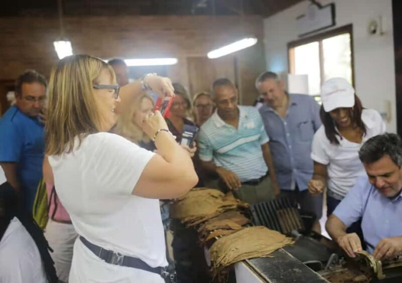 Punta Cana: Horseback Riding Adventure Free Hotel Pickup - Key Points