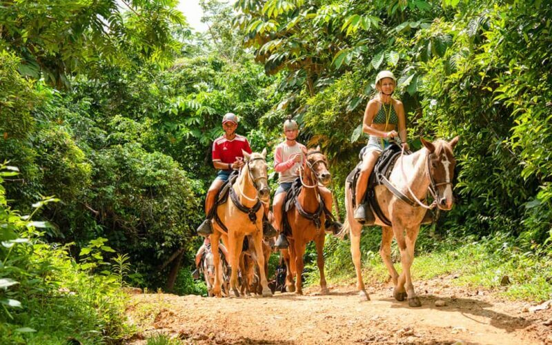 Punta Cana: Horseback Riding Adventure Free Hotel Pickup - The Riding Experience