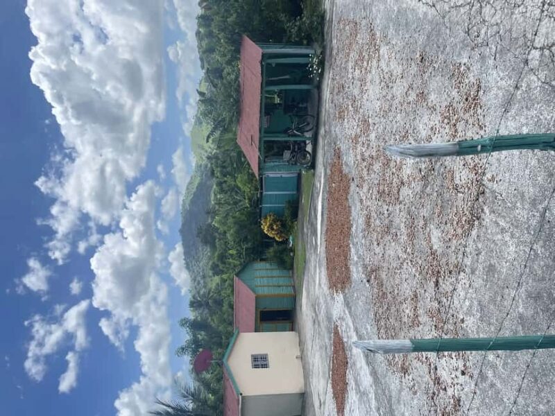 Punta Cana: Horseback Riding Adventure with Transfers - Why This Tour Offers Good Value