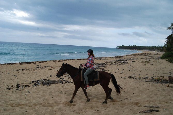 Punta Cana Horseback Riding on the Beach - Key Points