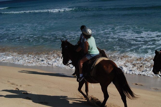 Punta Cana Horseback Riding on the Beach - FAQs
