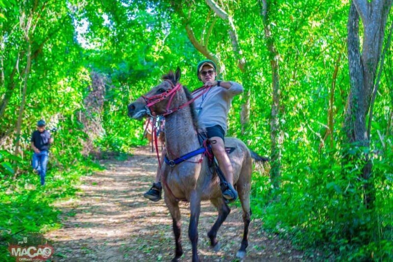 Punta Cana Horseback riding & Sunset + beach + free pick-up - An In-Depth Look at the Horseback Riding Tour