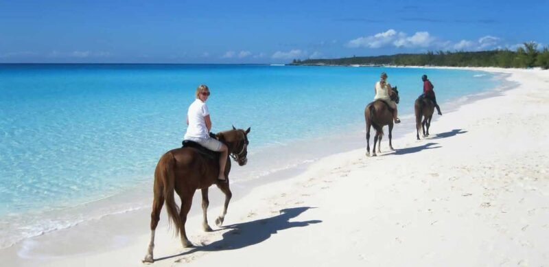 Punta Cana: Horseback Riding through Stunning Beaches - A Practical Look at the Tour