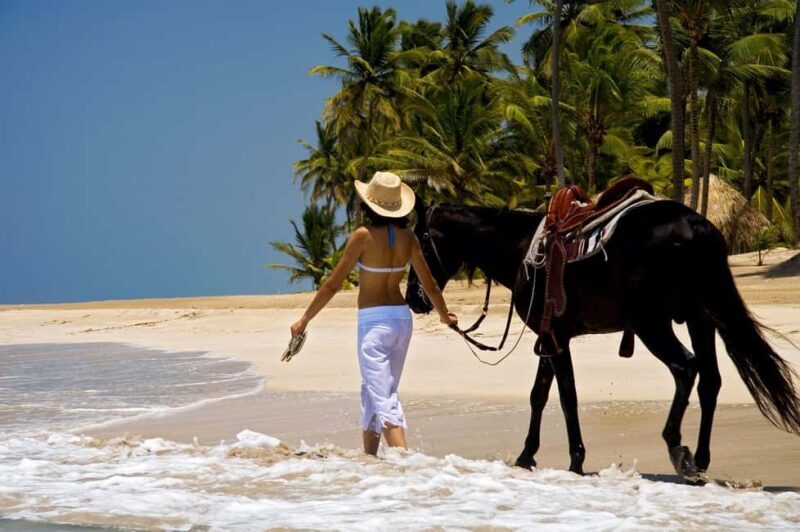Punta Cana: Horseback Riding through Stunning Beaches - Final Thoughts on the Experience