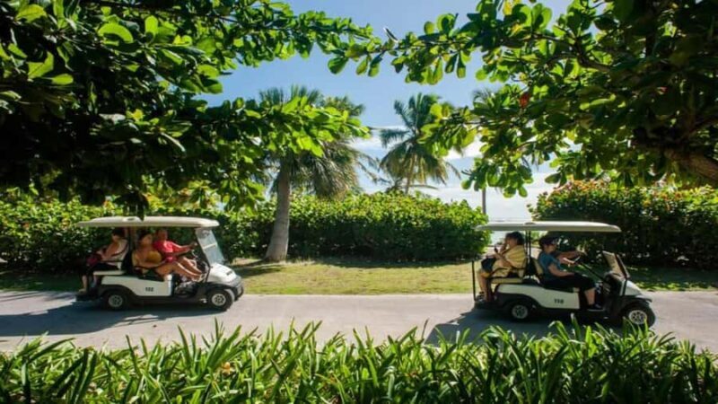 Punta Cana: Iguana Sanctuary, Sailing & BBQ Tour - A detailed look at the tour experience