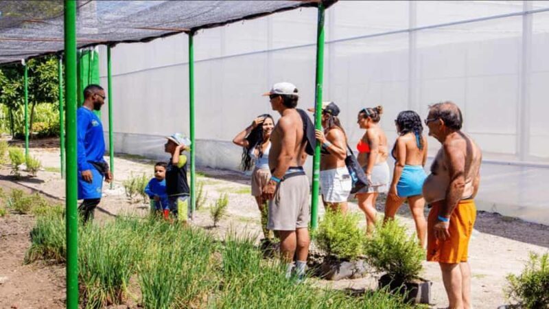 Punta Cana: Iguana Sanctuary, Sailing & BBQ Tour - The Sum Up