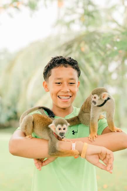 Punta Cana: Interactive Experience at Monkey House - FAQ