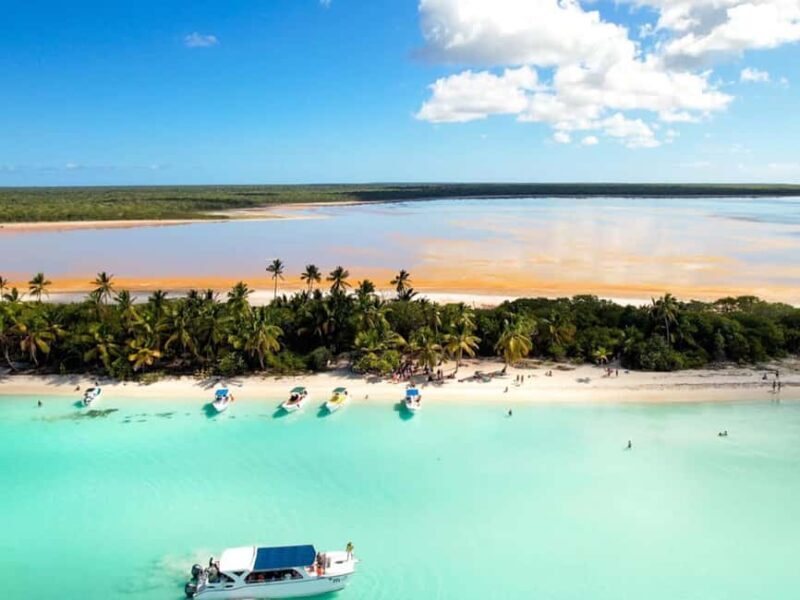 Punta Cana: Isla Saona Day Trip with Catamaran Cruise - An Engaging Introduction to Isla Saona Trip