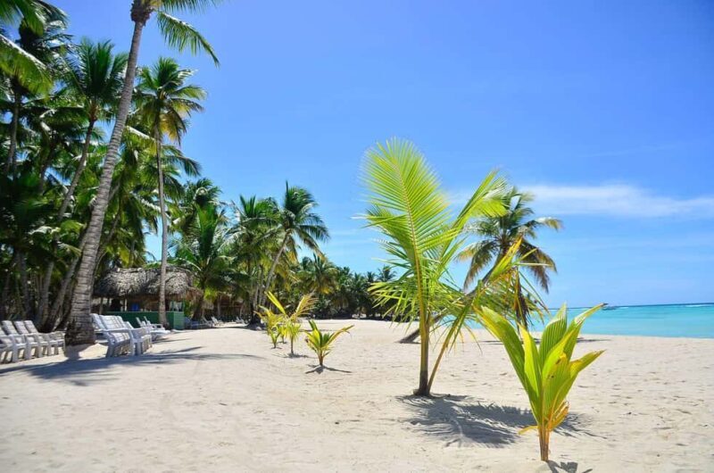 Punta cana: Island Escape to Saona  catamaran & Beach lunch - Key Points