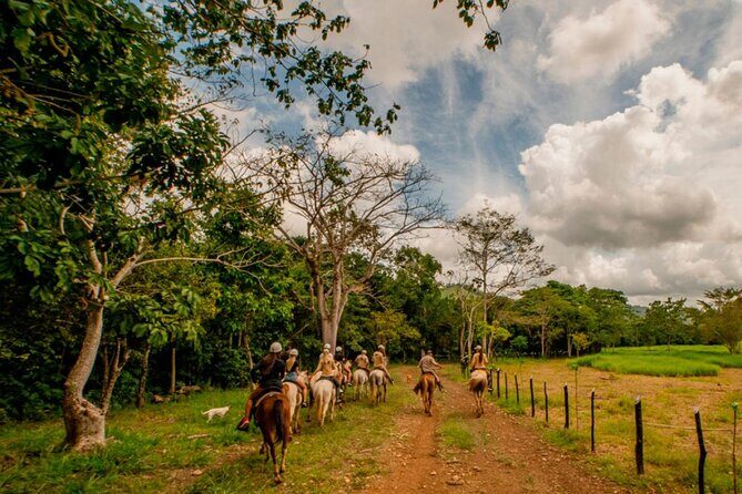 Punta Cana Jungle Adventure Day at La Hacienda Park - Considerations for Travelers