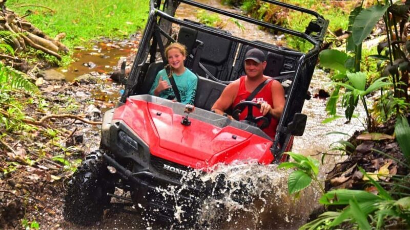 Punta Cana: Jungle Buggy Tour with Monkeyland Visit - Final Thoughts