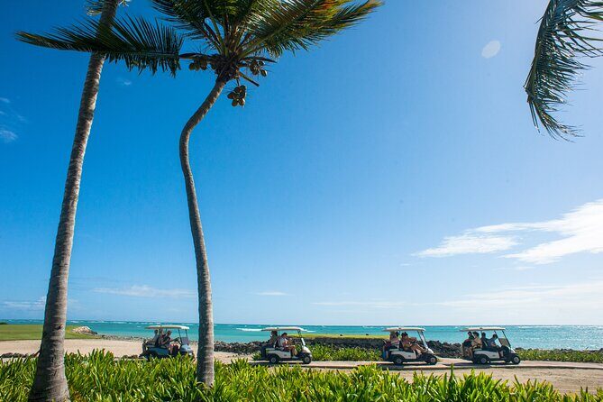 Punta Cana Lagoon Tour with Lunch, Boat Cruise, Open Bar - Frequently Asked Questions