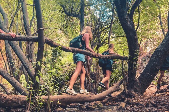 Punta Cana: Los Haitises Hike & Kayaking Mangroves - Key Points