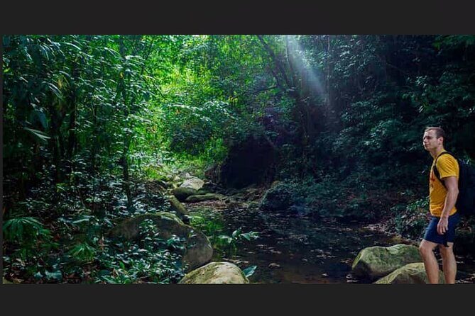 Punta Cana: Los Haitises Hike & Kayaking Mangroves - An In-Depth Look at the Los Haitises Tour Experience