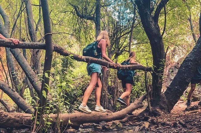 Punta Cana: Los Haitises Hike & Kayaking Mangroves - The Sum Up