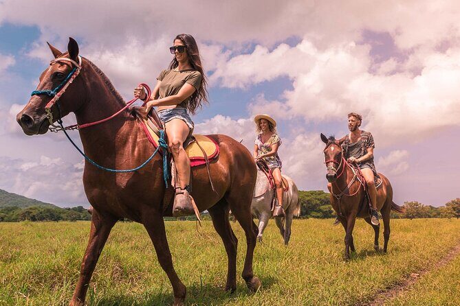 Punta Cana: Los Haitises Horses riding + Montana redonda - FAQ
