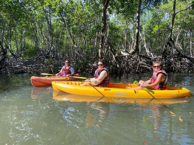 Punta Cana: Los Haitises National Park Hiking and Kayaking - Who Should Consider This Tour?