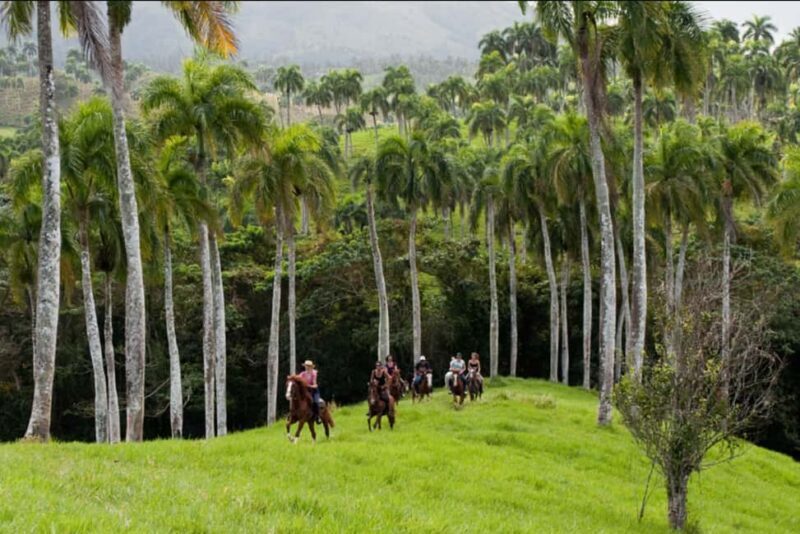 Punta Cana: Los Haitises National Park Horseback & Boat Tour - Final Thoughts: Who Should Consider This Tour?