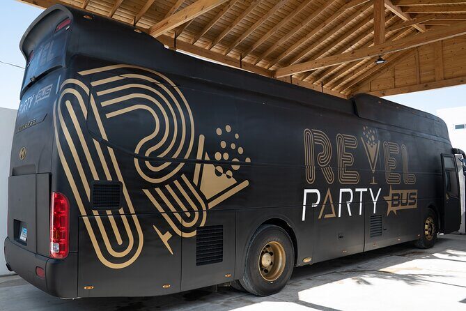 Punta Cana Luxury Party Bus Private Group Rental - Key Points