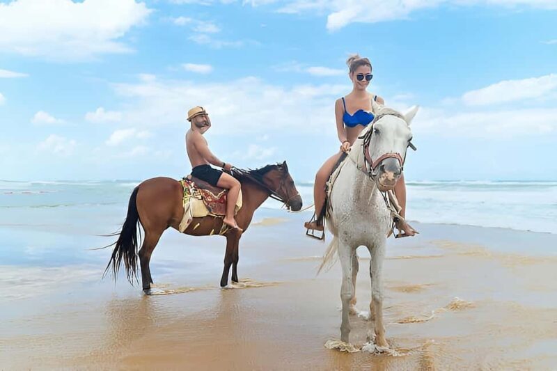 Punta Cana: Macao Beach & Forest Horseback Riding Tour - What’s in It for You?