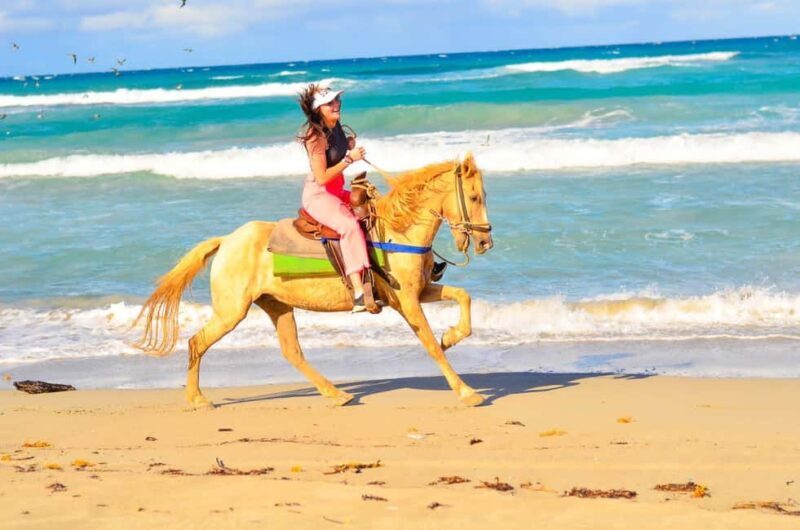 Punta Cana: Macao Beach & Forest Horseback Riding Tour - Practical Details and Tips