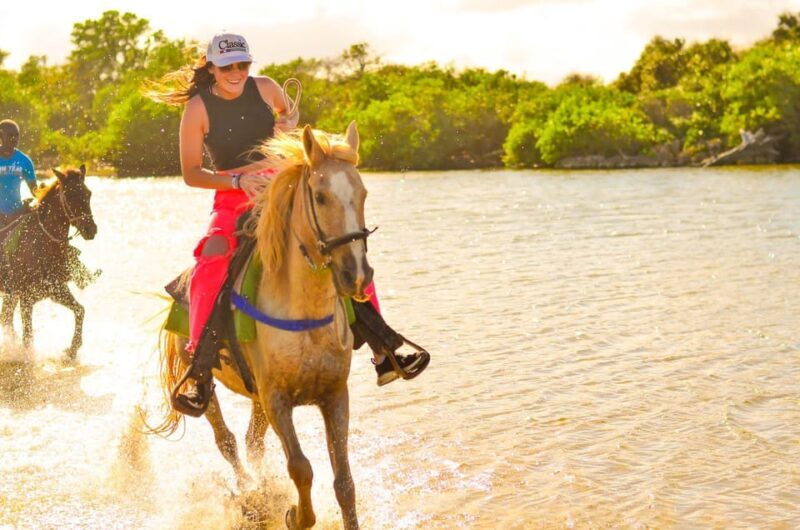 Punta Cana: Macao Beach & Forest Horseback Riding Tour - Authentic Feedback from Travelers