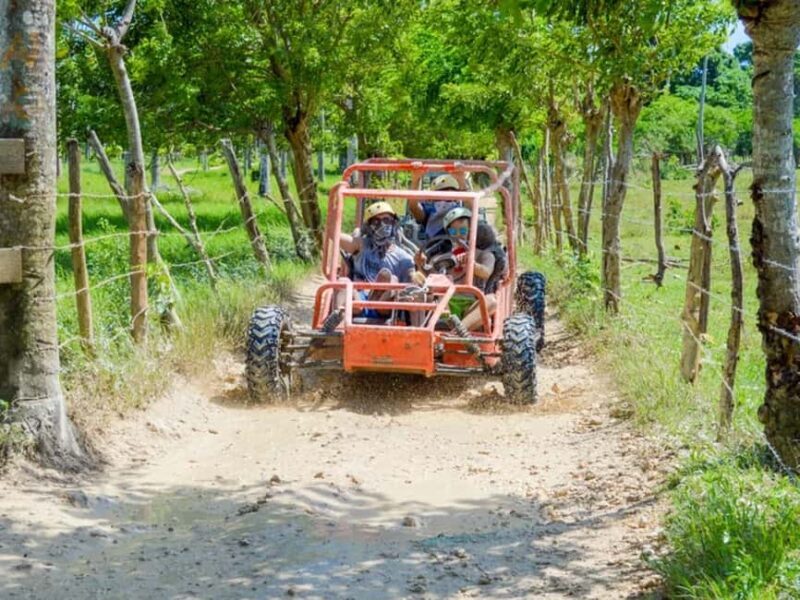 Punta Cana: Macao Buggy Tour - The Itinerary: What You Can Expect and Why It Matters