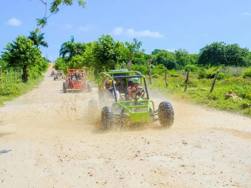 Punta Cana: Macao Buggy Tour - Evaluating the Value