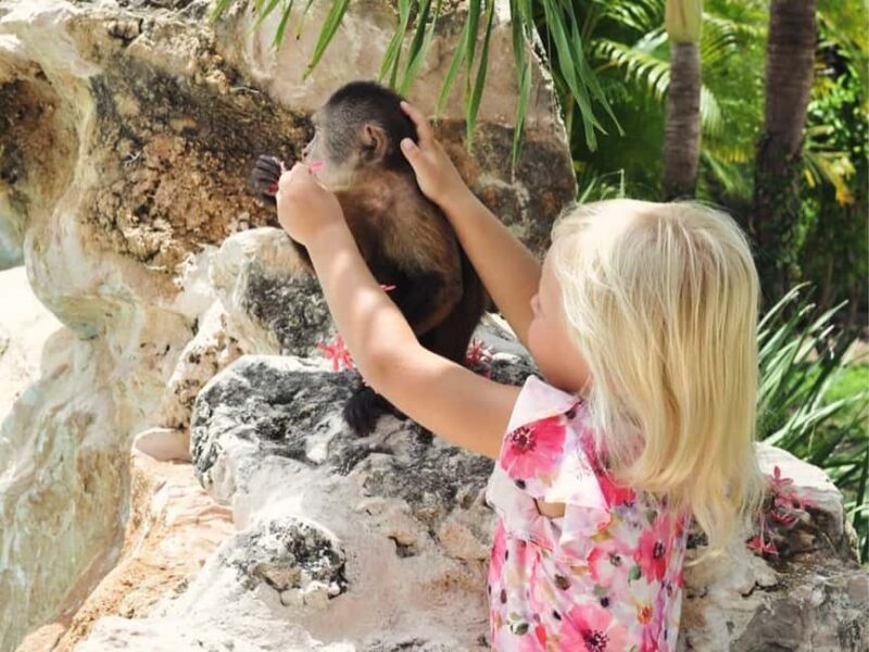 Punta Cana: Monkey Houses Private Tour - Who Will Love This Tour?