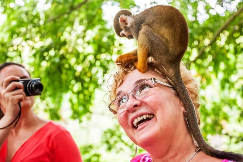 Punta Cana: Monkey Land Half-Day Safari and Plantation - An In-Depth Look at the Tour Experience