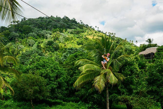 Punta Cana Monkeyland and Zipline Two Adventures in One Day - Final Thoughts: Is It Worth It?