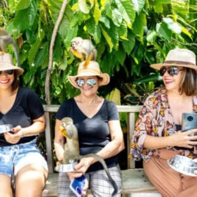 Punta Cana: Monkeyland Half-Day Tour with Snacks and Guide - Introduction to the Monkeyland Experience