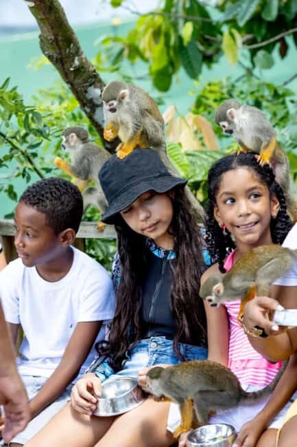 Punta Cana: Monkeyland Half-Day Tour with Snacks and Guide - Transportation and Group Size