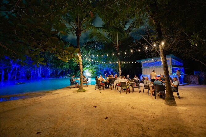 Punta Cana Night Tour Polaris Ride Dinner Music and Open Bar - Key Points