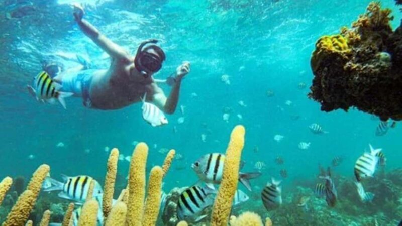 Punta Cana: Party Boat and Snorkeling Adventure - An Adventure on the Water: What to Expect