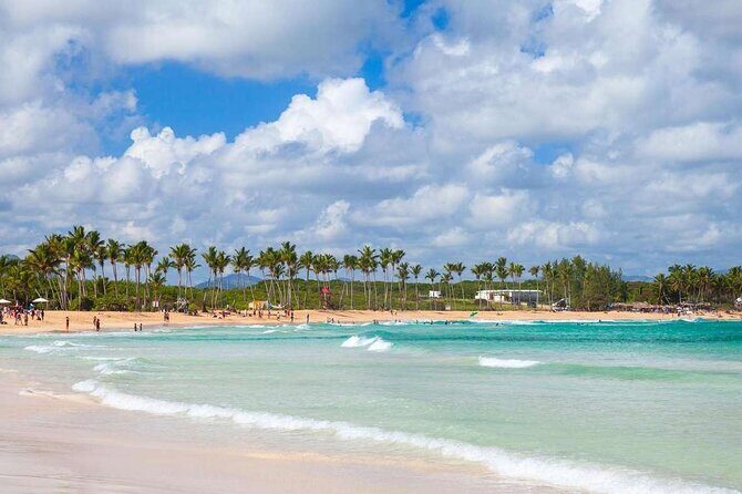 Punta Cana Predator Buggy or ATV Adventure - Who Will Love This Tour?