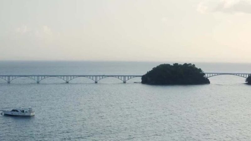 Punta Cana: Private Adventure to Samaná, Cayo Levantado - The Experience Provider: Tickets Whales