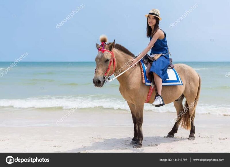 Punta Cana: Private Buggy, Horseback, Zipline & Catamaran - Key Points