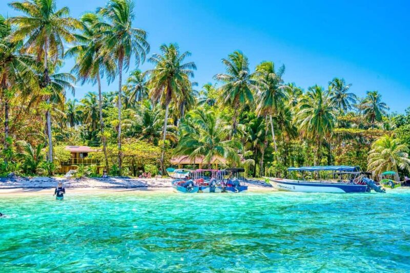 Punta Cana: Private Catalina Island Snorkeling Trip with - Key Points