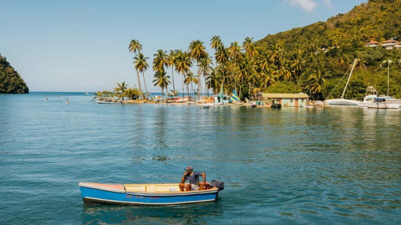 Punta Cana: Private Catalina Island Snorkeling Trip with - What Travelers Have Said