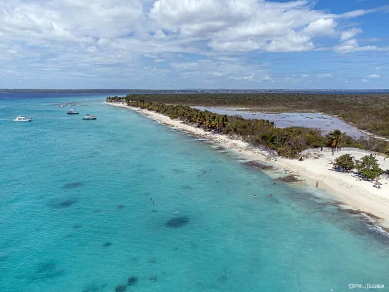 Punta Cana: Private Catalina Island Snorkeling Trip with - Is This Tour Right for You?