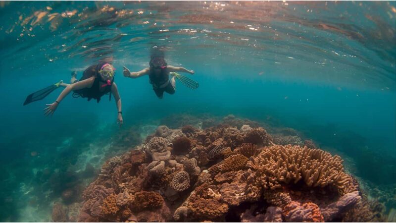 Punta Cana Private Catamaran Cruise: Snorkeling, Beach & BBQ - Setting Sail for a Memorable Day