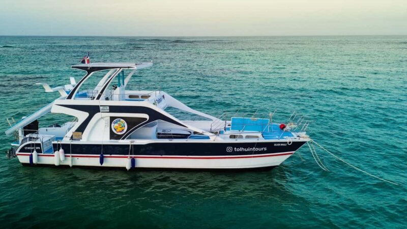 Punta Cana: Private Catamaran Cruise, Snorkeling & Open bar - The Itinerary Breakdown