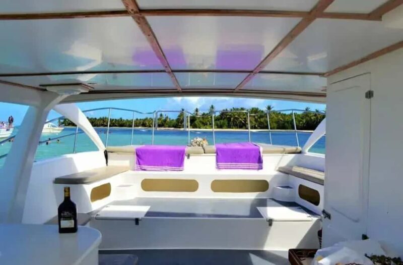 Punta Cana: Private Catamaran Cruise with Open Bar - A Deep Dive into the Catamaran Experience