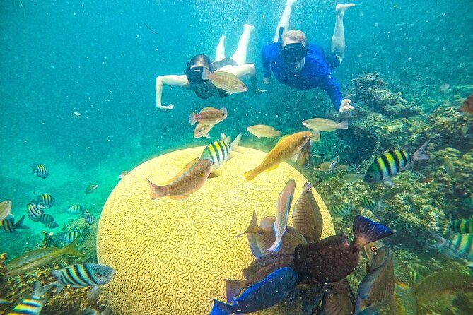 Punta Cana Private Cruise Up To 10 Snorkeling & Seafood lunch - An Inside Look at the Itinerary and Experience